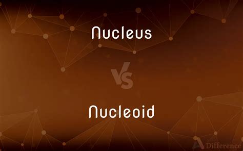 Nucleus Vs Nucleoid Whats The Difference