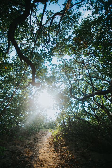 Horseback Riding In Nosara Movie Experience