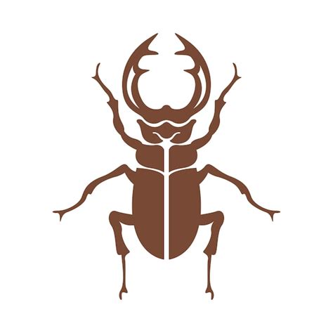 Premium Vector Beetle Logo Icon Design