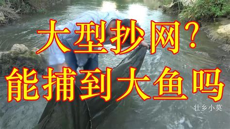 抓游鱼的季节又到了，小莫用大型抄网捞鱼，收获太棒了 户外捕鱼 在农村小河沟里抓鱼 Youtube