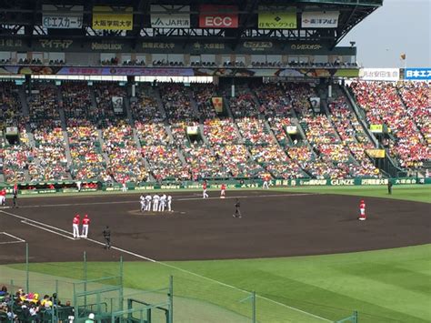 本日の甲子園三塁アルプス席 購入