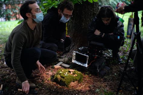 Onepointfour Sex And Shrooms