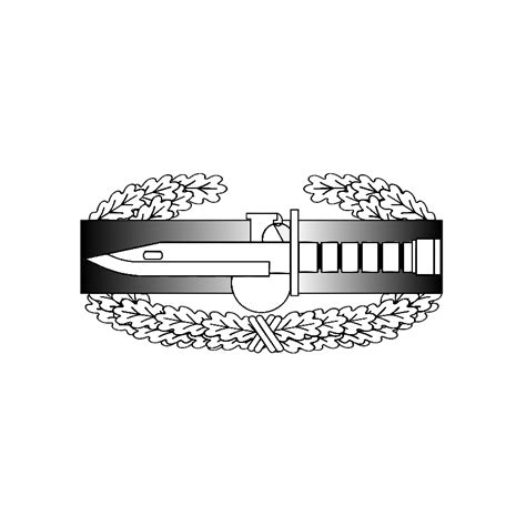Army Set To Debut Master Combat Badges In Spring Memo Says Combat