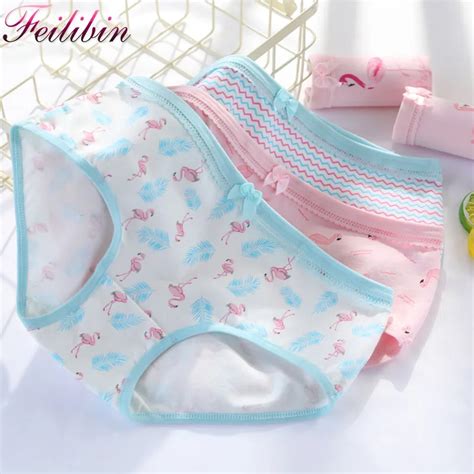 Feilibin Cotton Panties Women Underwear Sexy Briefs 5pcs Lot Seamles