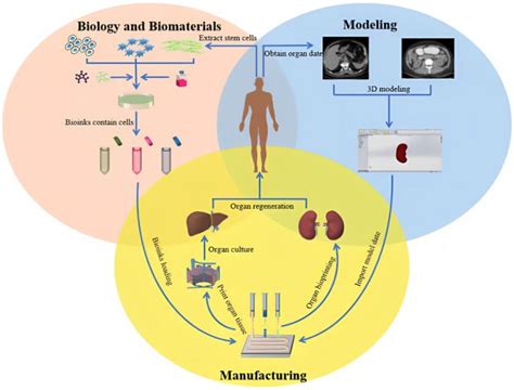 🔬 Excited To Share The Publication Bioprinting In Personalized