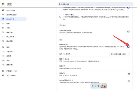 Dns