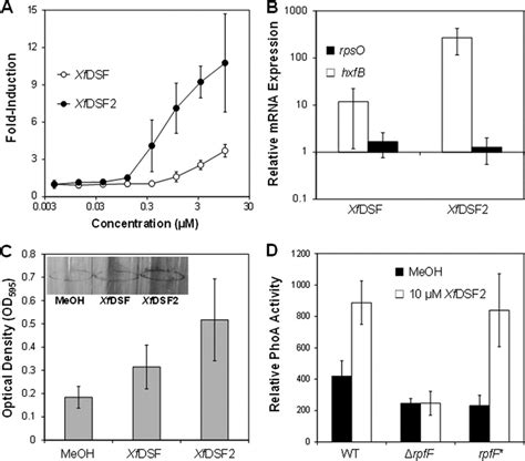 A Dose Dependent Induction Of The Xylella Fastidiosa Based Dsf