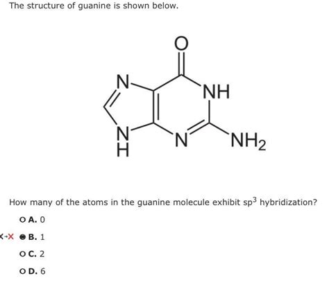 How Many Of The Atoms In The Guanine Molecule Exhibit Sp3 Hybridization R Organicchemistry