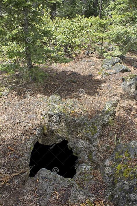 Agujero Superior De Hornito En Forest Cave Imagen De Archivo Imagen