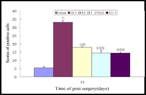compiled results in a bar graph for the number of caspase3 mrnapositive