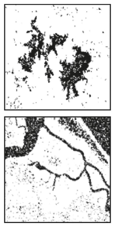 Remote Sensing Images With Salt And Pepper Noise And Segmentation