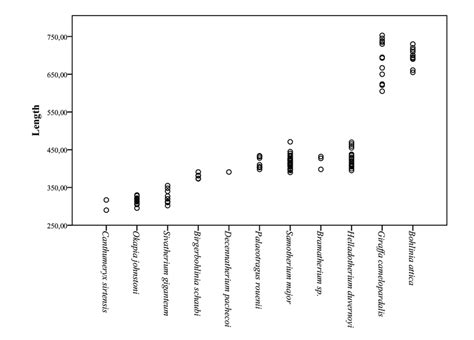 Dispersion Plot With The Absolute Metacarpal Length Of The Giraffidae Download Scientific
