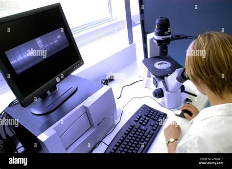 Model Released Myopathy Genetic Research Myopathy Researcher Studying