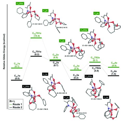 Reaction Profile And Optimized Structures Of The L System Monomer Download Scientific
