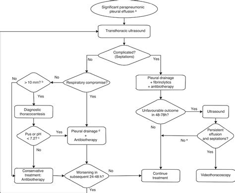 Pathophysiology Of Pneumonia In Flow Chart Treatment In Wuhan Fever