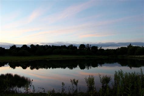 Bäume Gras Natur Kostenloses Foto Auf Pixabay