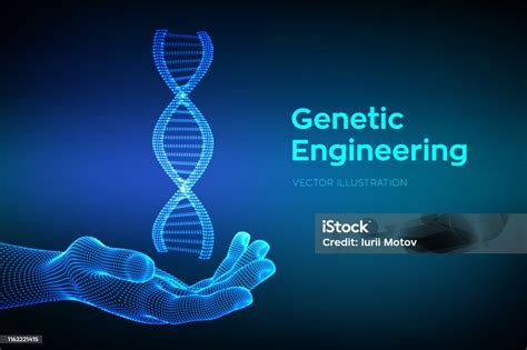 손에 Dna 서열 와이어 프레임 Dna 분자 구조 메쉬 Dna 코드 편집 가능한 템플릿입니다 과학 기술 개념 벡터 그림입니다 0명에 대한 스톡 벡터 아트 및 기타 이미지