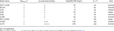Presence Of Bla Oxa 61 B Lactamase Activity Susceptibility To