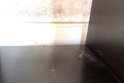 Vapour From Heated Drying Rack Damp Surveys Ltd
