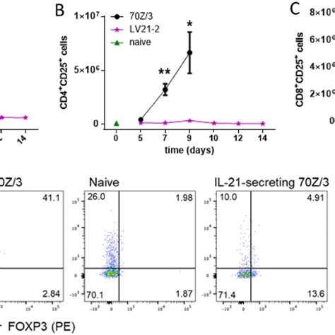 Rechallenge With The Parent Cell Line Induced CD4CD44CD62L Memory T Download Scientific