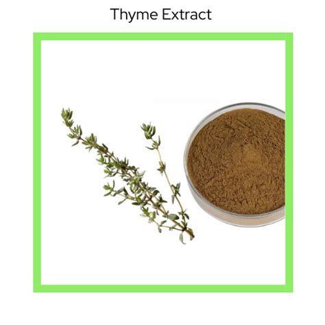 Thyme Extract Herbex Fzco