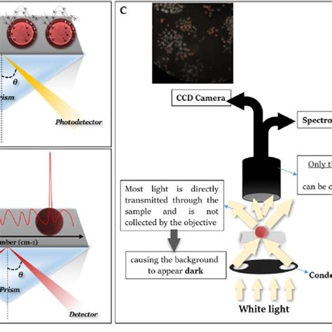 A In A Commercially Available Tool The Local Refractive Index Based Download Scientific