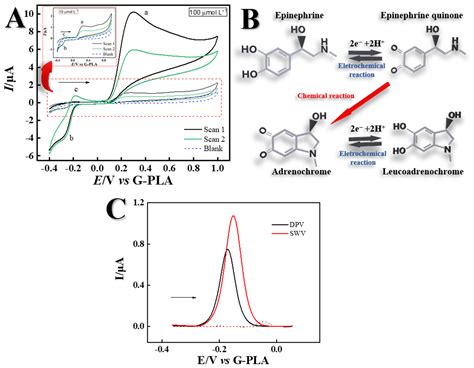 Additive Manufacturing Sensor For Stress Biomarker Detection