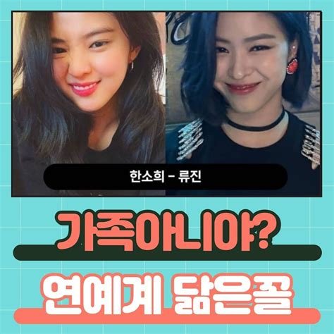 연예계 닮은꼴 방송 연예 꾸르