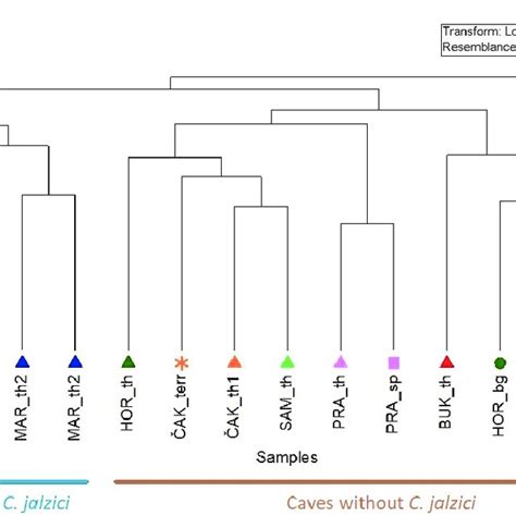 bray curtis similarity dendrogram marker shape triangle transitional