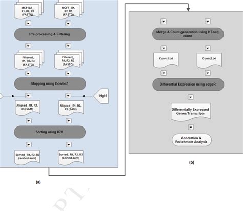 Rna Seq Workflow The Input Consists Of Sequencing Reads Fastq Files Download Scientific