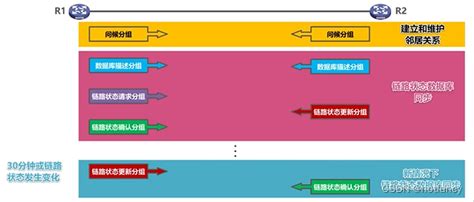计算机网络路由特定主机路由 默认路由 Csdn博客