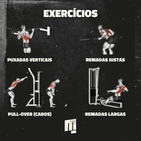 Treino De Costas Completo Para Hipertrofia 2025
