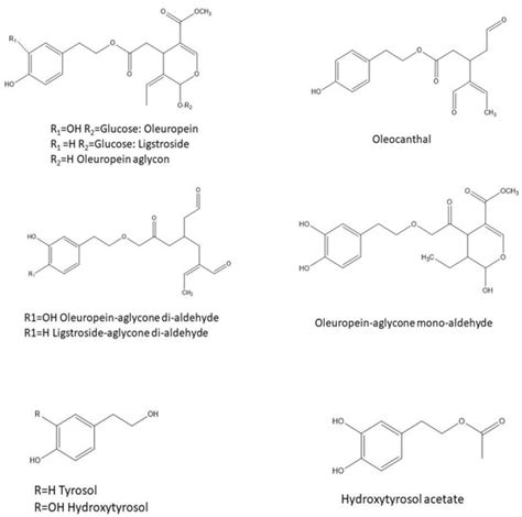 Foods Special Issue Extraction Characterization And Biological
