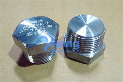 ASME B16 11 ASTM A182 GR F316L Threaded Hex Head Plug DN25 3000