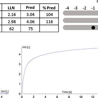 PDF Reference Values For Spirometry And Their Use In Test Interpretation A Position Statement