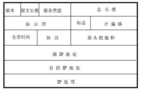 TCPUDPIP报头结构体分析 udp tos CSDN博客