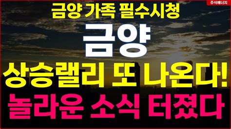 금양 상승랠리 또 나온다 놀라운 소식 터졌다 금양 주주 필수시청 리튬 하이드로리튬 이엔플러스 포스코케미칼 금양주가 에코프로 에코프로비엠 종목추천 추천주 급등주