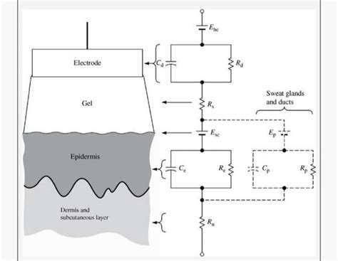 Solved 1 Derive An Expression For The Circuit Impedance
