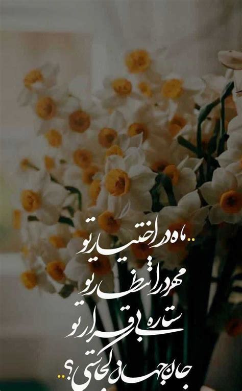 این صبر ،که من میکنم عکس ویسگون