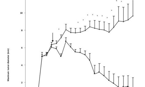 科學家發現刺激免疫系統，可停止癌症生長 每日頭條