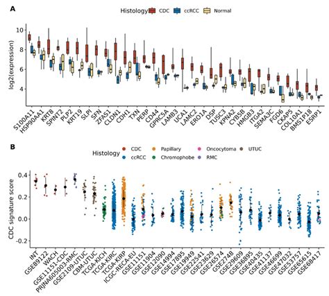 Cdc Specific Gene Signature A Boxplot Of 31 Genes Specifically
