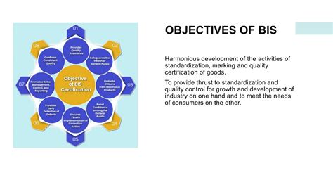 Dermatological Testing As Perbispecification Pptx