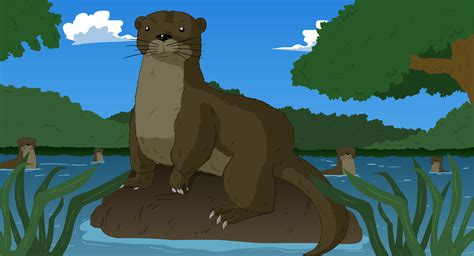 Las Nutrias Una Especie Castigada En El Comercio De Las Pieles