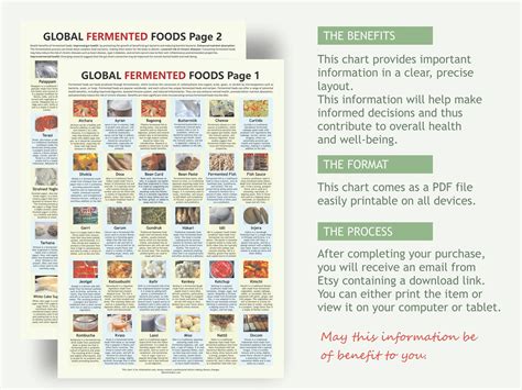 Fermented Foods Chart Digital Download Pdf Global Fermentation Food