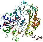 Enzyme Probiotika Extrakte Creative Enzymes