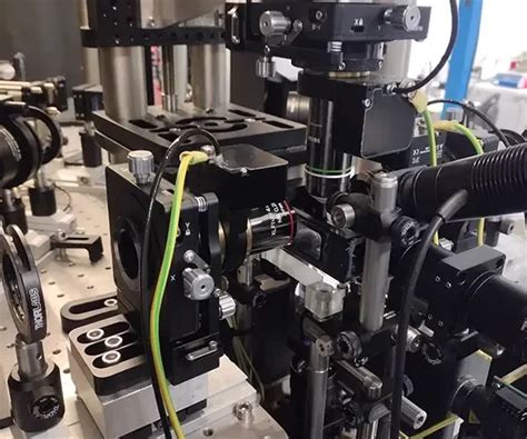 Human Brain Optical Fondazione Cr Firenze