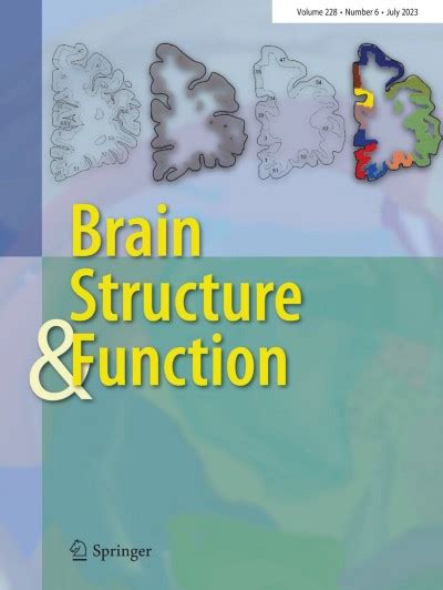 A New 3d Myeloarchitectonic Map Of The Human Neocortex Based On Data