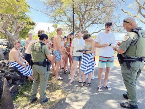 Hawaii Authorities Say 33 Swimmers Were Harassing Dolphins News