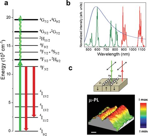 Plasmon‐enhanced Fluorescence In An Nd³⁺ Doped Ppln Crystal A Nd³