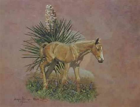 Explorin Wayne Baize